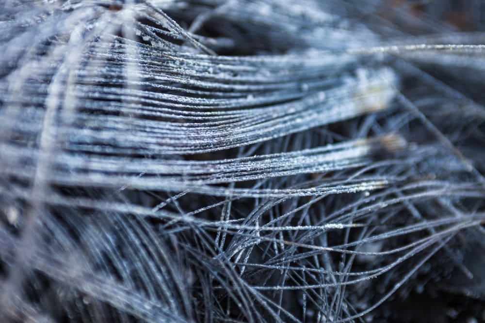 Tire Wire Showing? How Long Will A Tire With Exposed Cords Last?