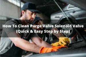 How To Clean Purge Valve Solenoid Valve (Quick & Easy Step By Step)