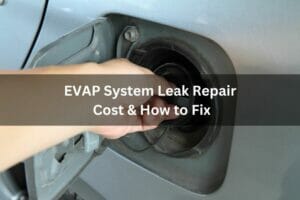 EVAP System Leak Repair Cost & How To Fix