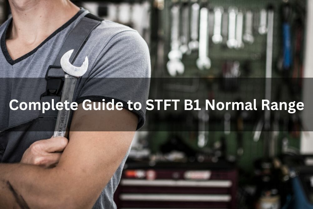 Complete Guide To STFT B1 Normal Range